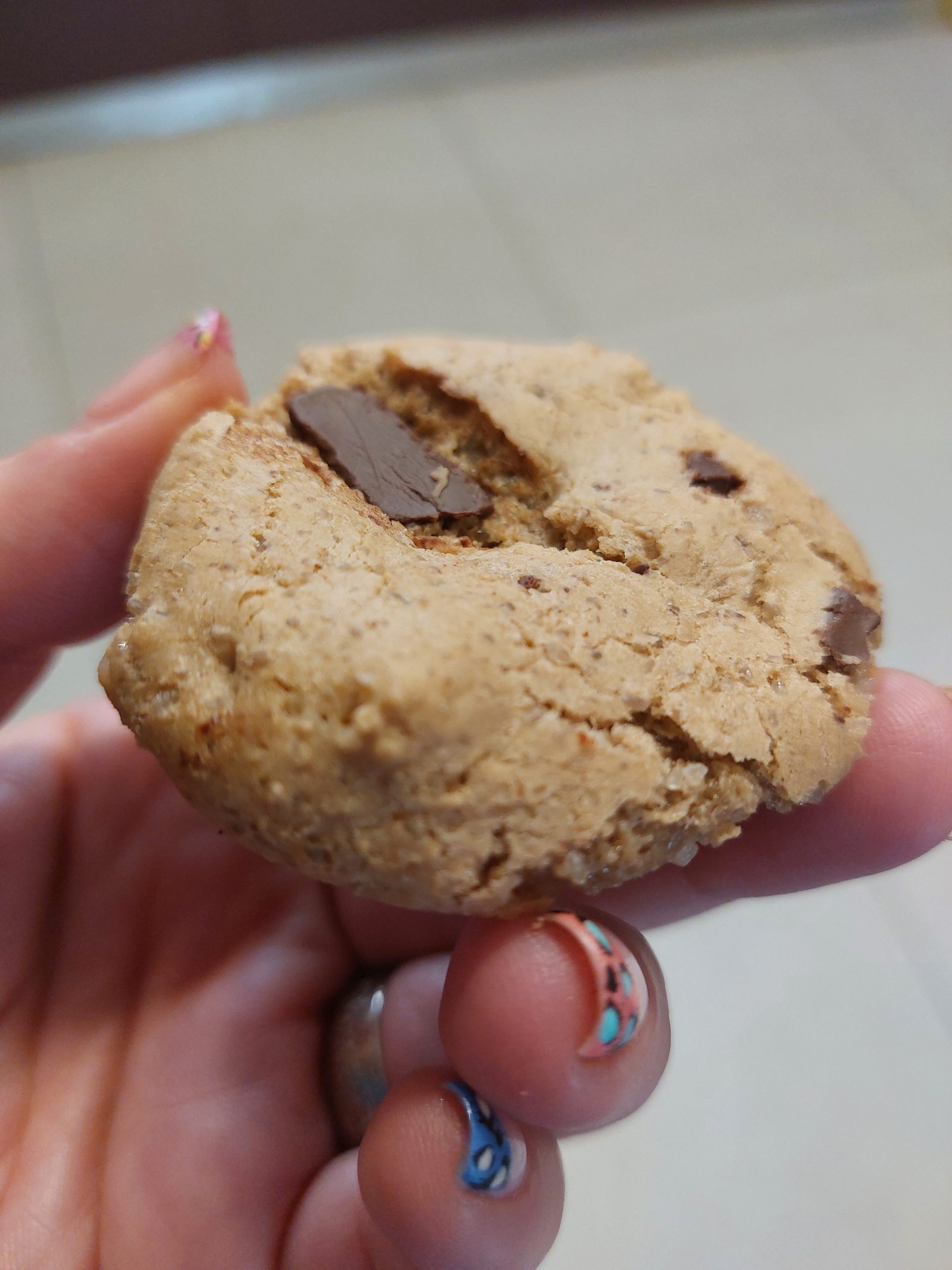 Gluten Free Pareve Chocolate Chip Cookies - Shraga's Cookies